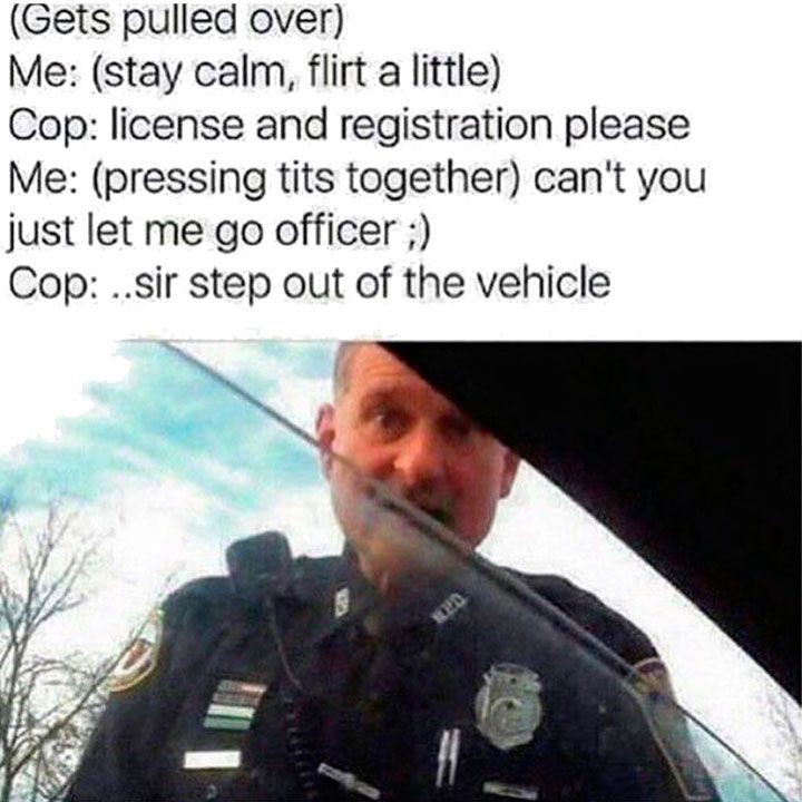 Hilarious Traffic Stop Memes to Brighten Your Day - Funny Fiasco